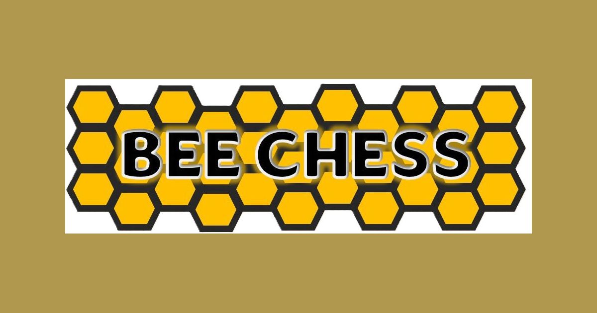 Hex Hive Board Game | Bee Chess