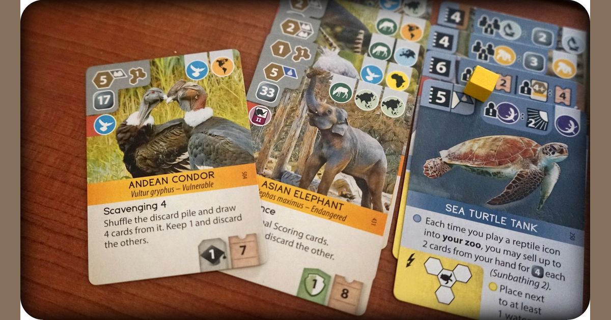 ...uno more zoo... | Browsing Games | VideoGameGeek