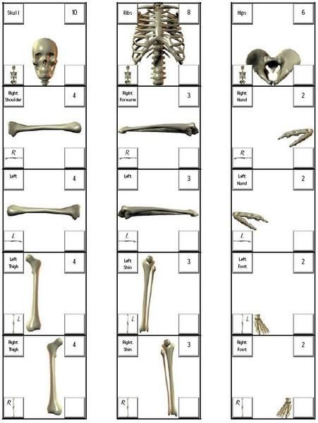 4 Pages of Bone Cards | Bone Barter