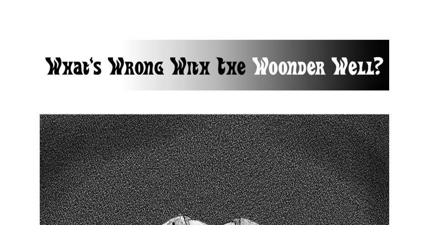 What's Wrong With The Woonder Well? | RPG Item | RPGGeek