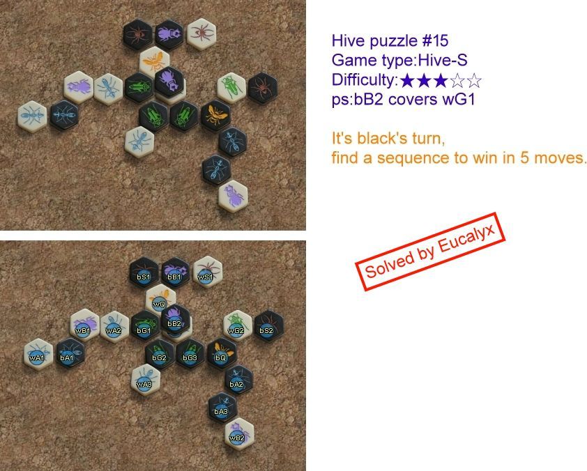 Hive Puzzles metalist