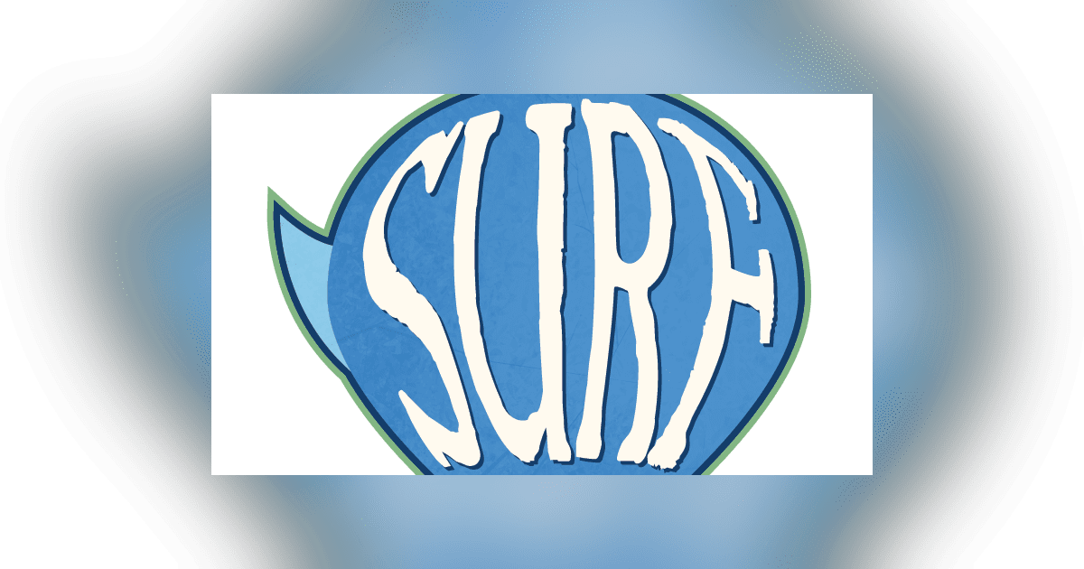 Village Pillage: Surf | Board Game | BoardGameGeek