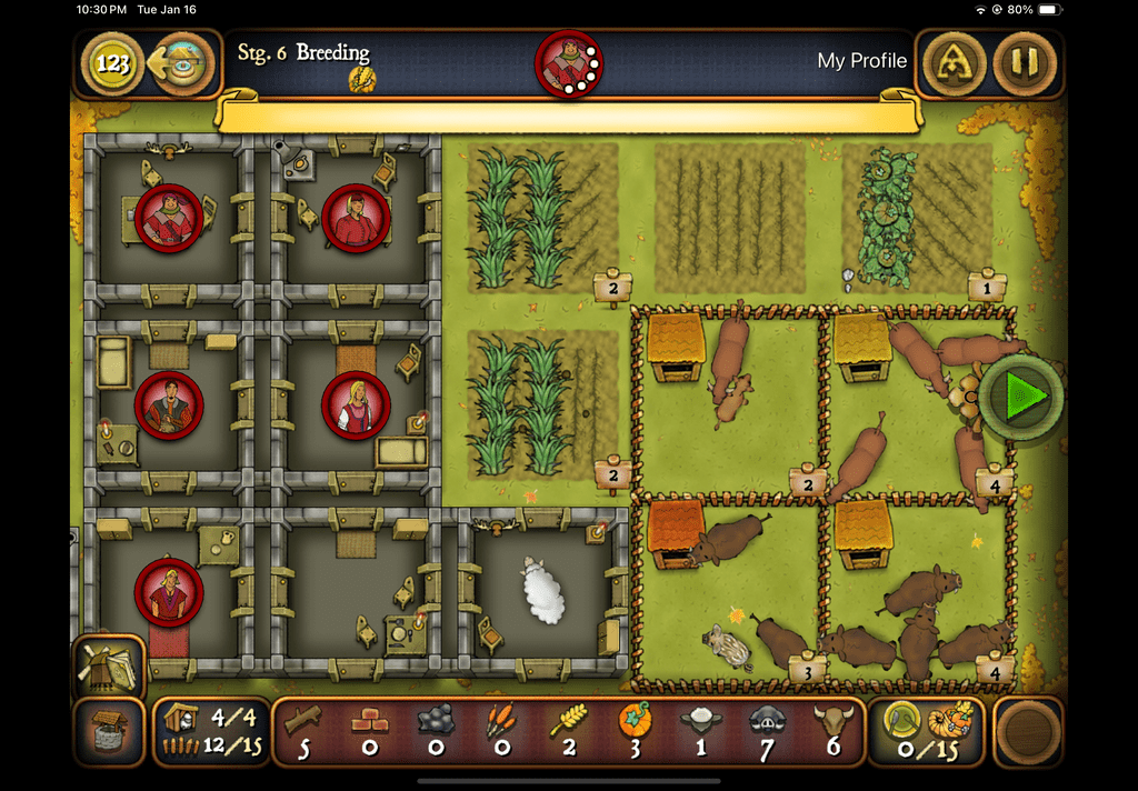 Agricola Solo Series - strategy and high score | Agricola