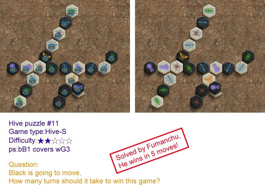 Hive Puzzles metalist