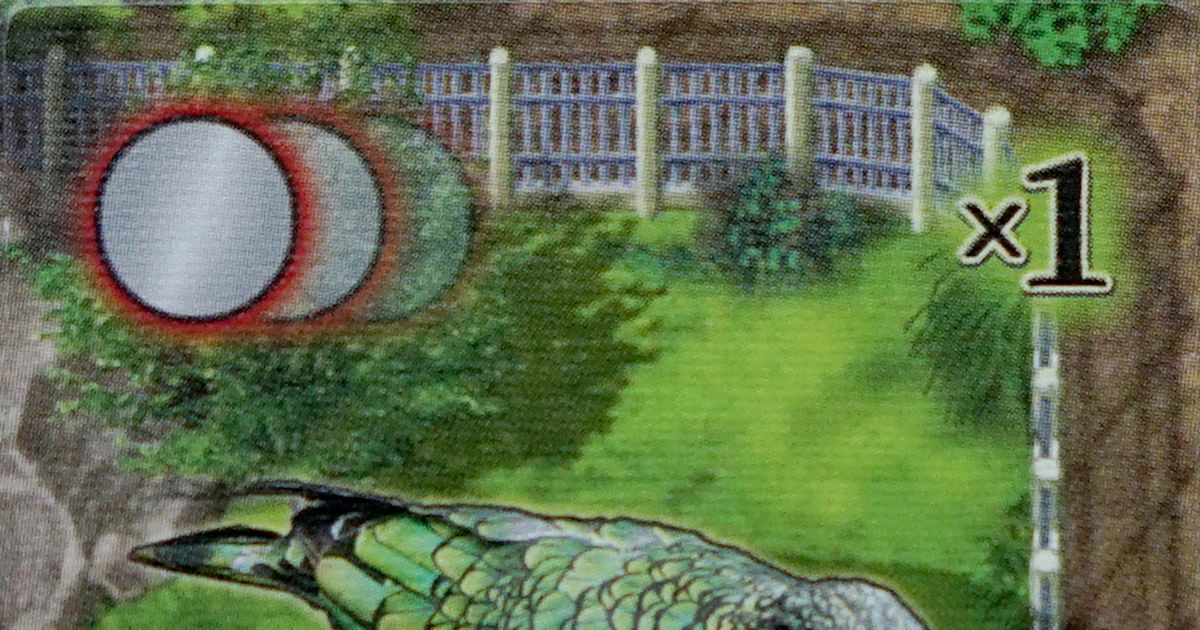 Zooloretto: Kea | Board Game | BoardGameGeek