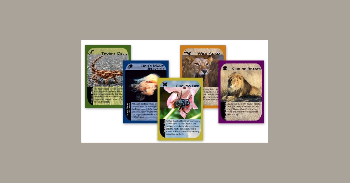 Коробка для карт / Card box in russian | Untamed: A Rummy Revolution