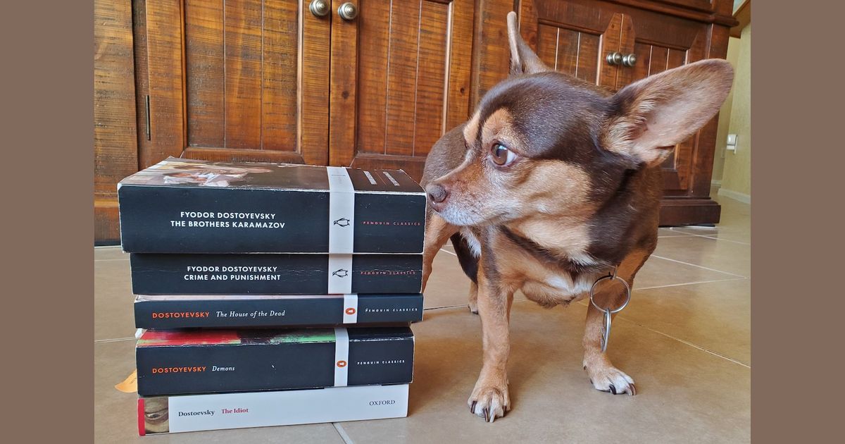 February 2024: Fyodor in Order | What Lies in the Doing | VideoGameGeek