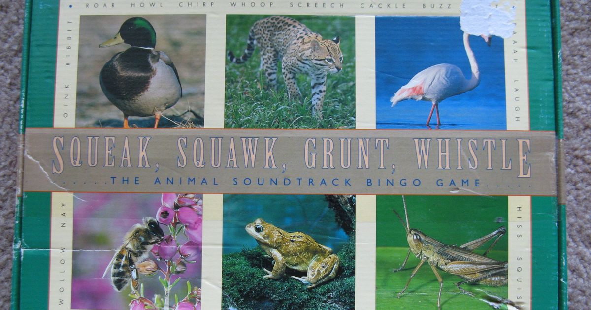 Squeak, Squawk, Grunt, Whistle: the Animal Soundtrack Bingo Game ...