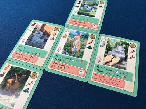 Coney and the Puzzle of the Cutest, Pickiest Rabbits | Gameward Bound ...