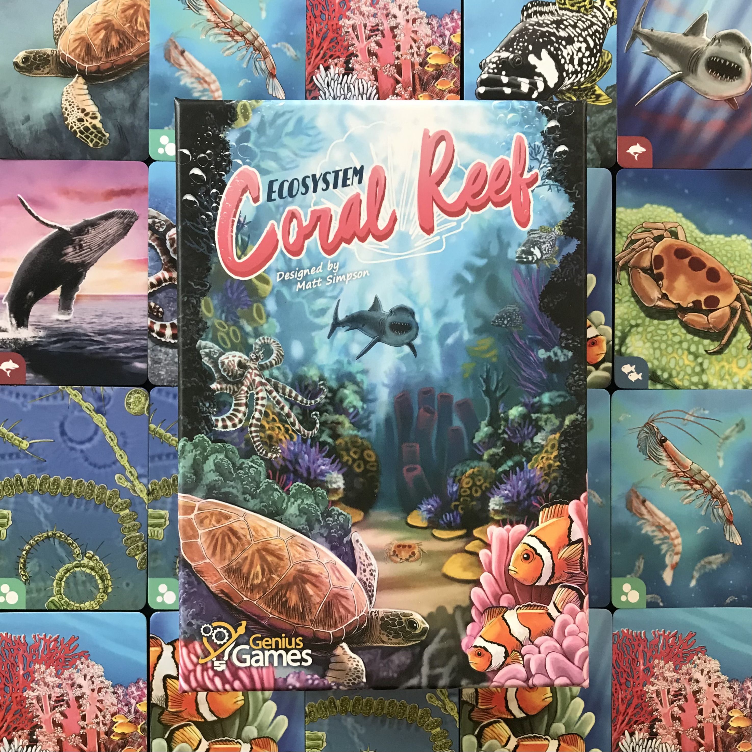 Review - Ecosystem: Coral Reef (Mr. & Ms. Meeple) | Ecosystem: Coral Reef