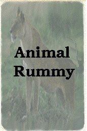 Animal Rummy | Board Game | BoardGameGeek