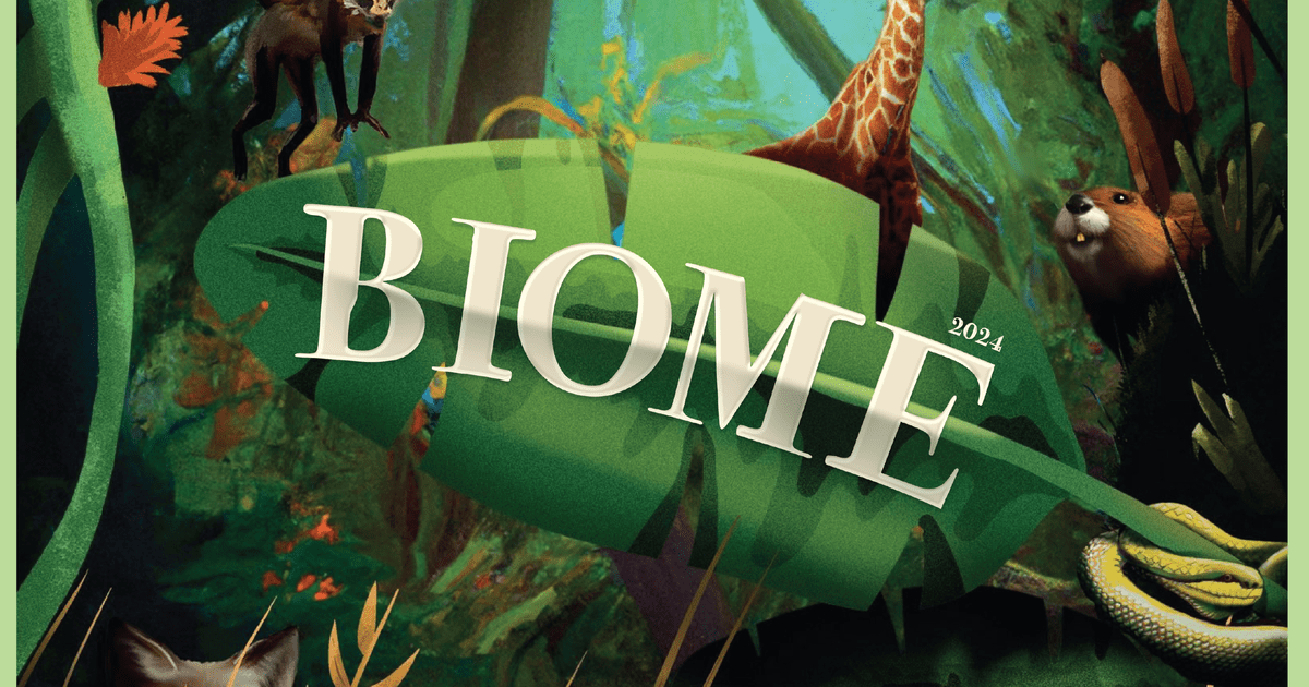 Biome | Board Game | BoardGameGeek