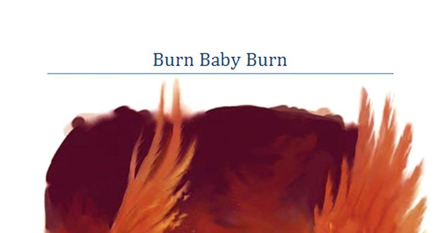 Burn Baby Burn | RPG Item | RPGGeek
