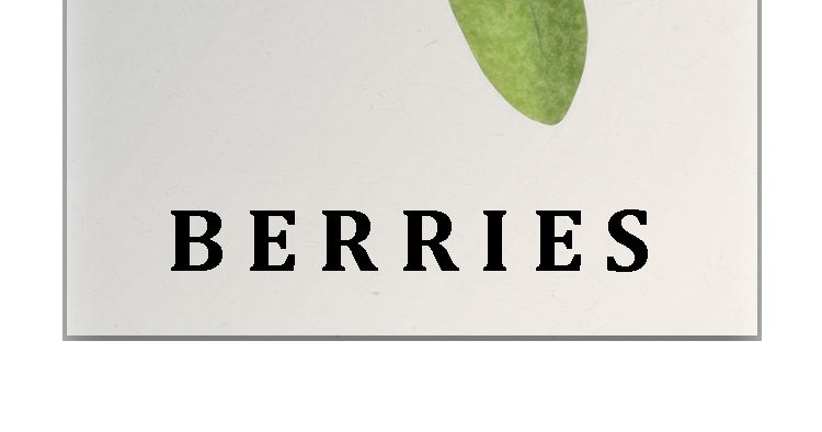 Berries | Board Game | BoardGameGeek