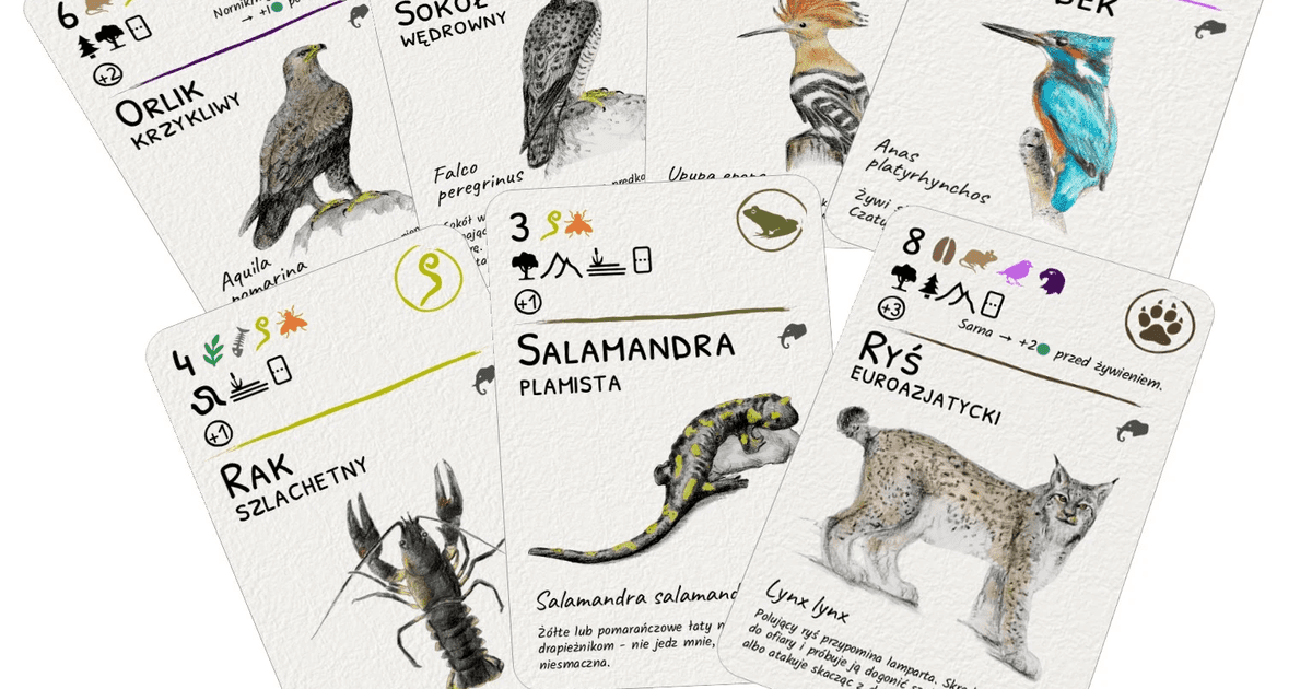 EcoLogic: Europe – Rare Animal Cards | Board Game | BoardGameGeek