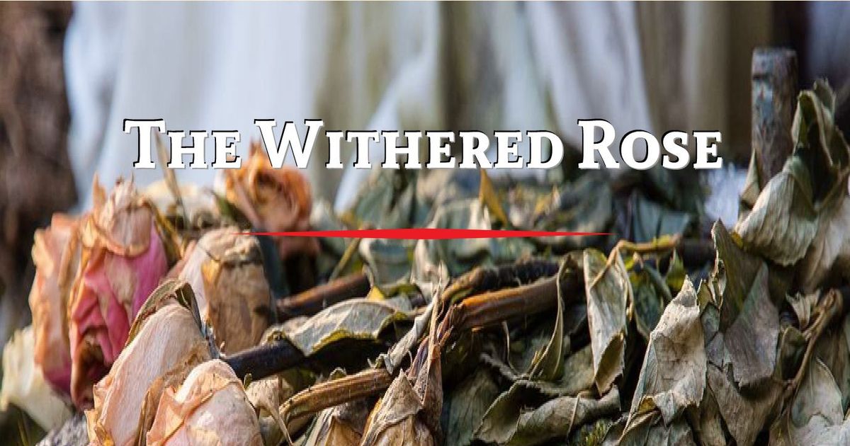 Lost Love Saga 1: The Withered Rose | RPG Item | RPGGeek