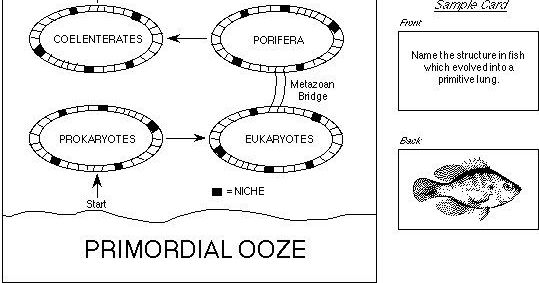 Evolution | Board Game | BoardGameGeek