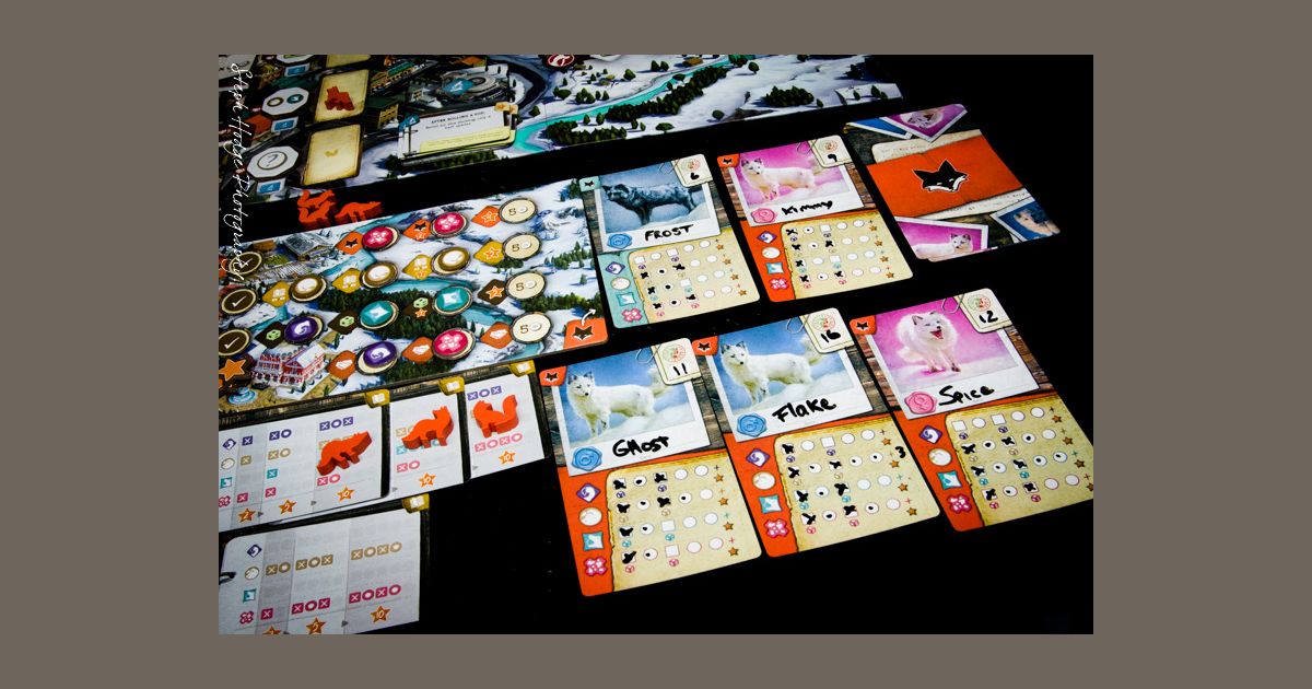 Get on Board for the Mighty Fox Experiment down Bark Avenue | All the ...