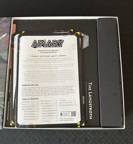 My simple cardboard insert for the tokens | Apiary