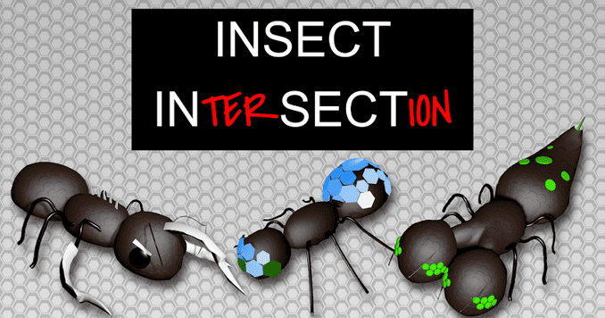 Insect Intersection | Board Game | BoardGameGeek
