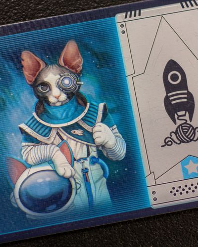 MLEM Space Agency: One small step for cat, one giant leap for catkind ...