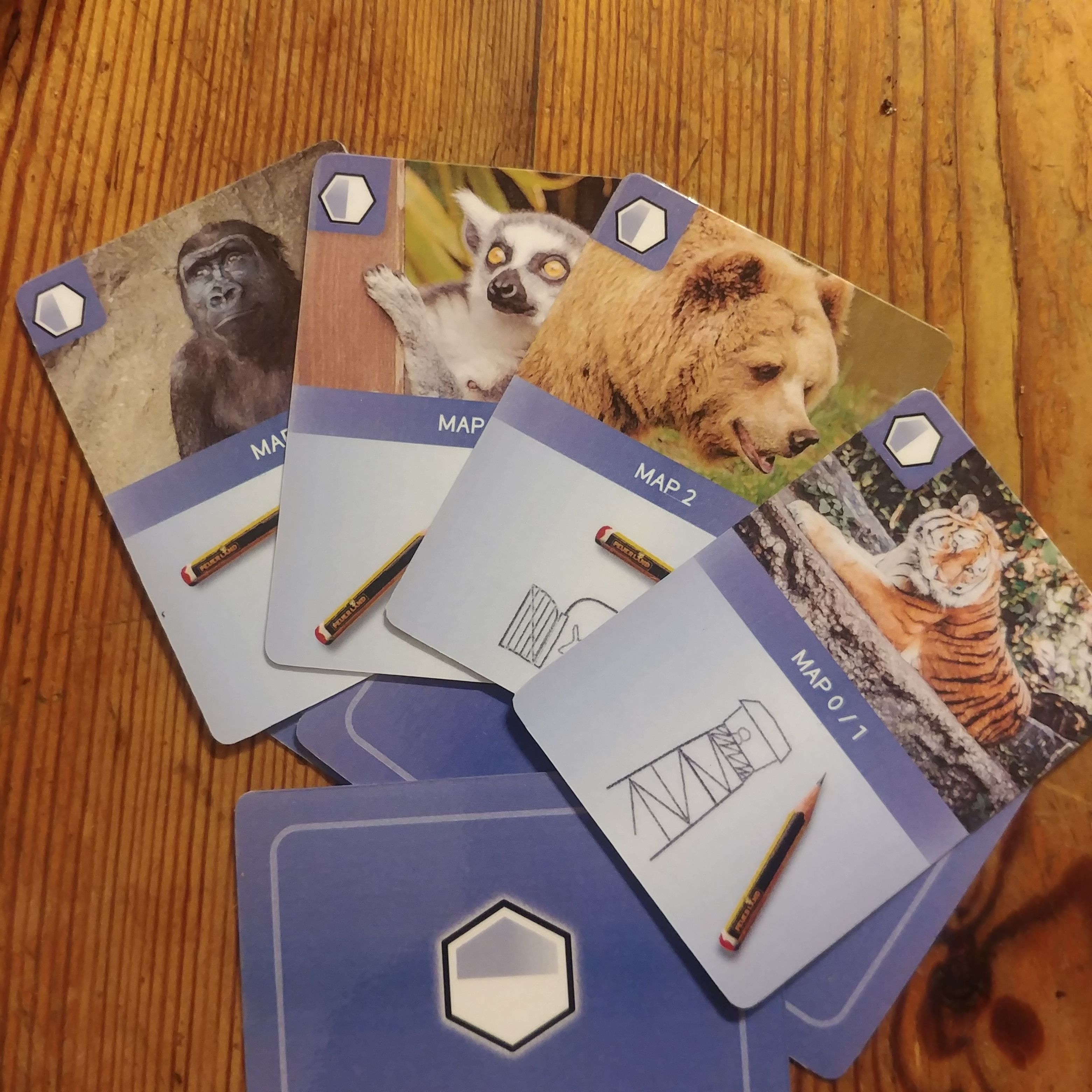 DIY Ark Nova Map's Cards | Ark Nova