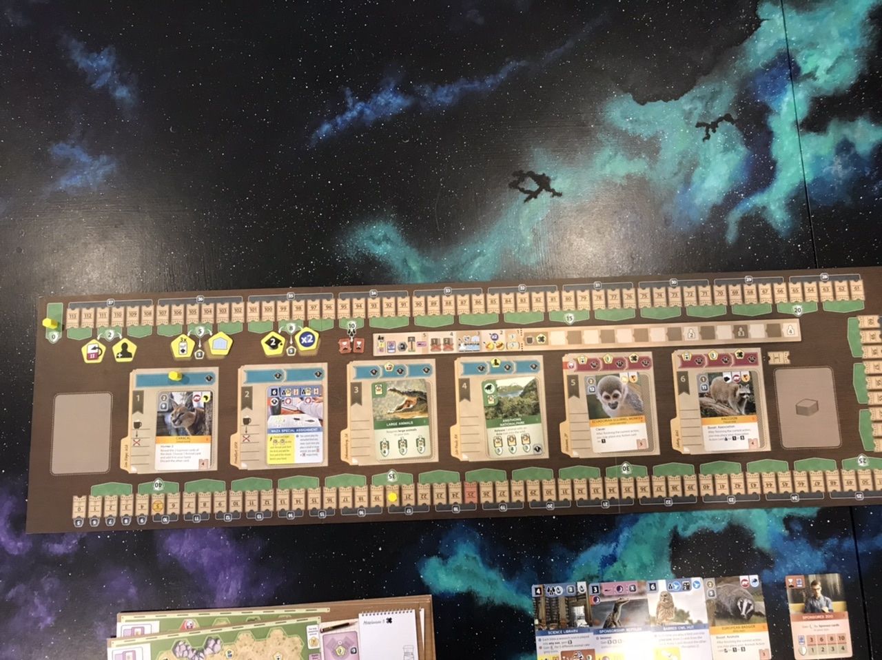 Ark Nova Common Setup Solo Challenge II, September 2023 | Ark Nova