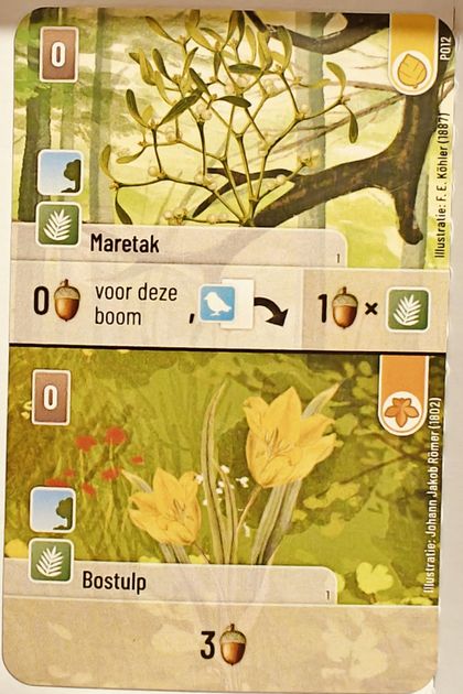 Maretak: how does it exactly work? | Forest Shuffle: Maretak / Bostulp ...