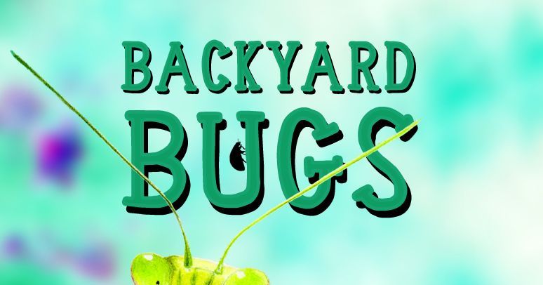 Backyard Bugs | Board Game | BoardGameGeek