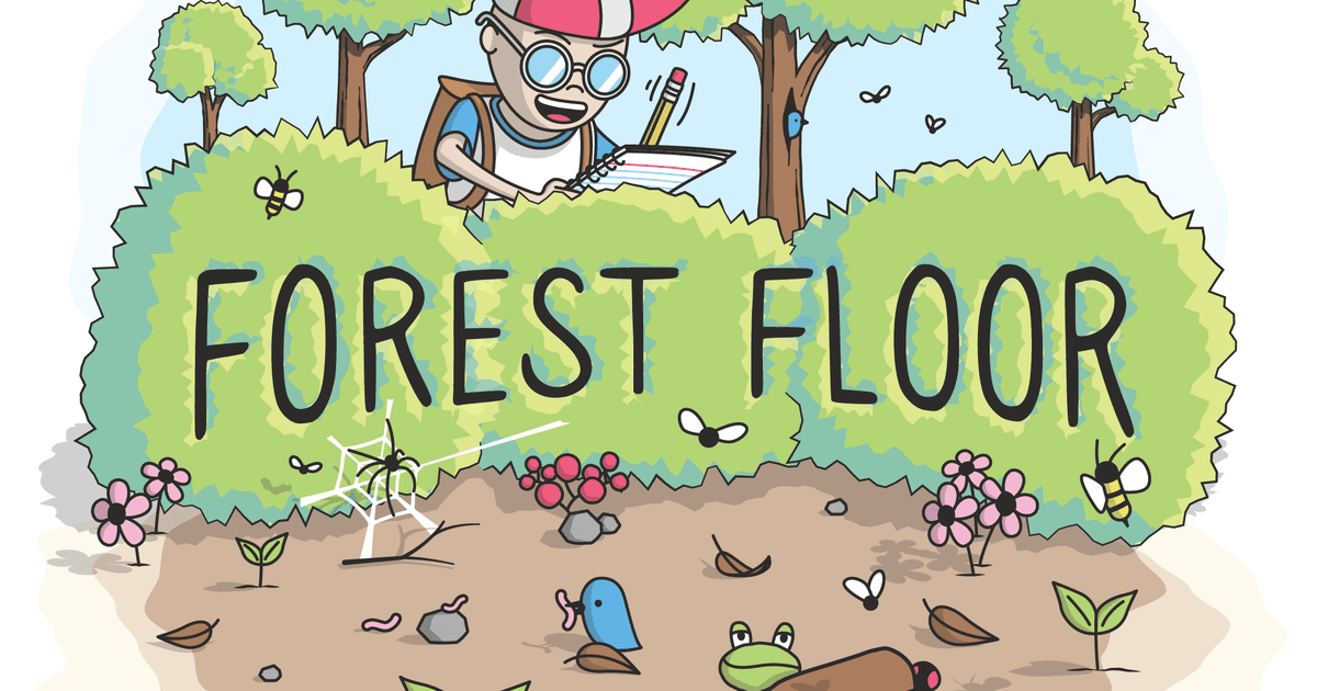 Forest Floor | Board Game | BoardGameGeek