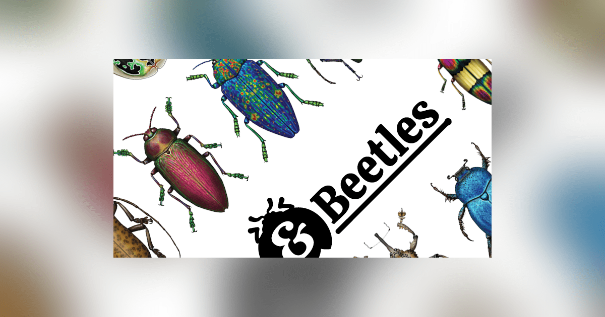 Pins & Beetles | Board Game | BoardGameGeek