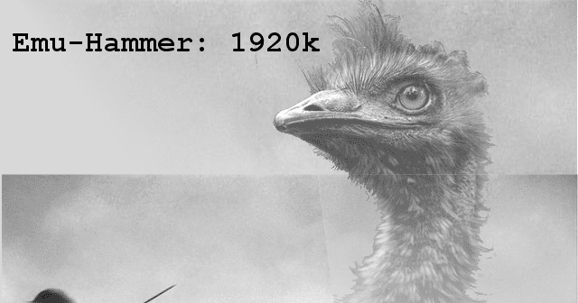 Emu-Hammer: 1920K | Board Game | BoardGameGeek