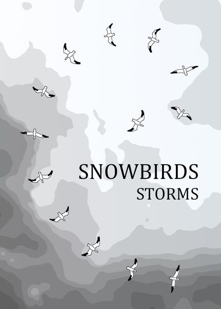 Snowbirds: Storms expansion rules | Snowbirds: Storms