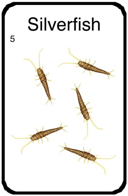 Sherbie vs The Silverfish | Board Game | BoardGameGeek