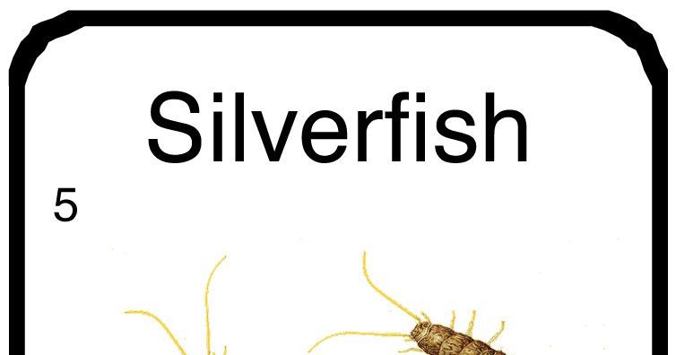 Sherbie vs The Silverfish | Board Game | BoardGameGeek