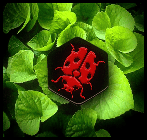 Hive - Buzzing photographs | Through the Camera Eye - Photography Sets ...