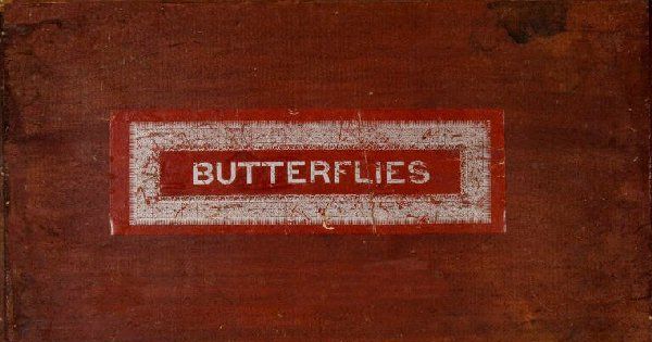 Game of Butterflies | Board Game | BoardGameGeek