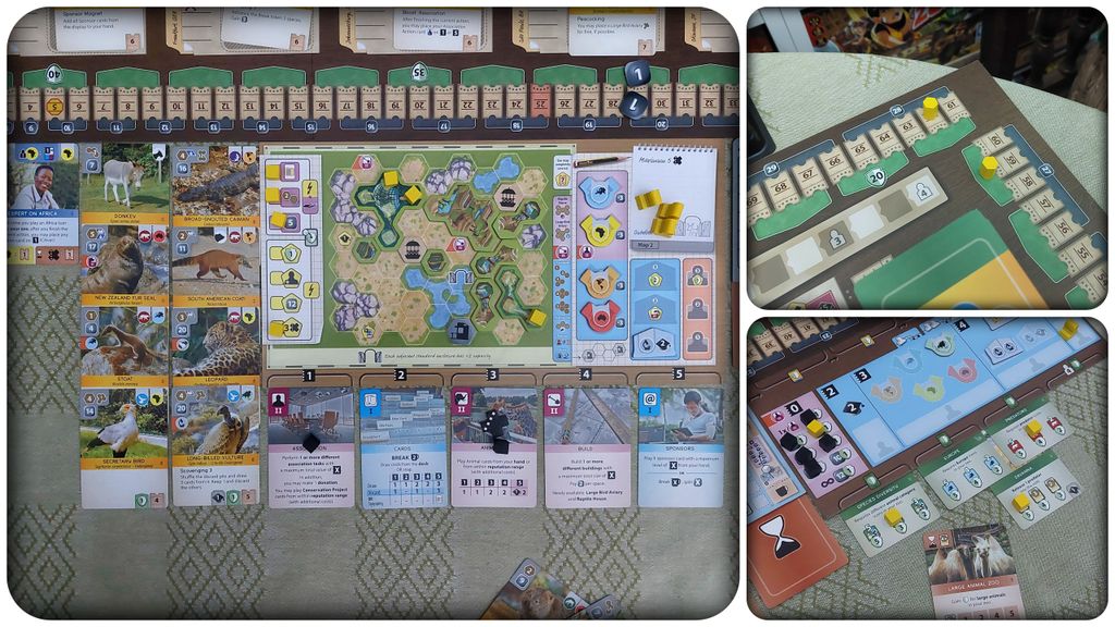 Ark Nova Solo Competition: March 2023 - Map 2 | Ark Nova