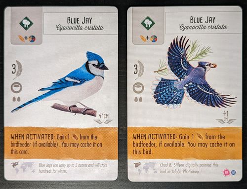 blue jay wingspan