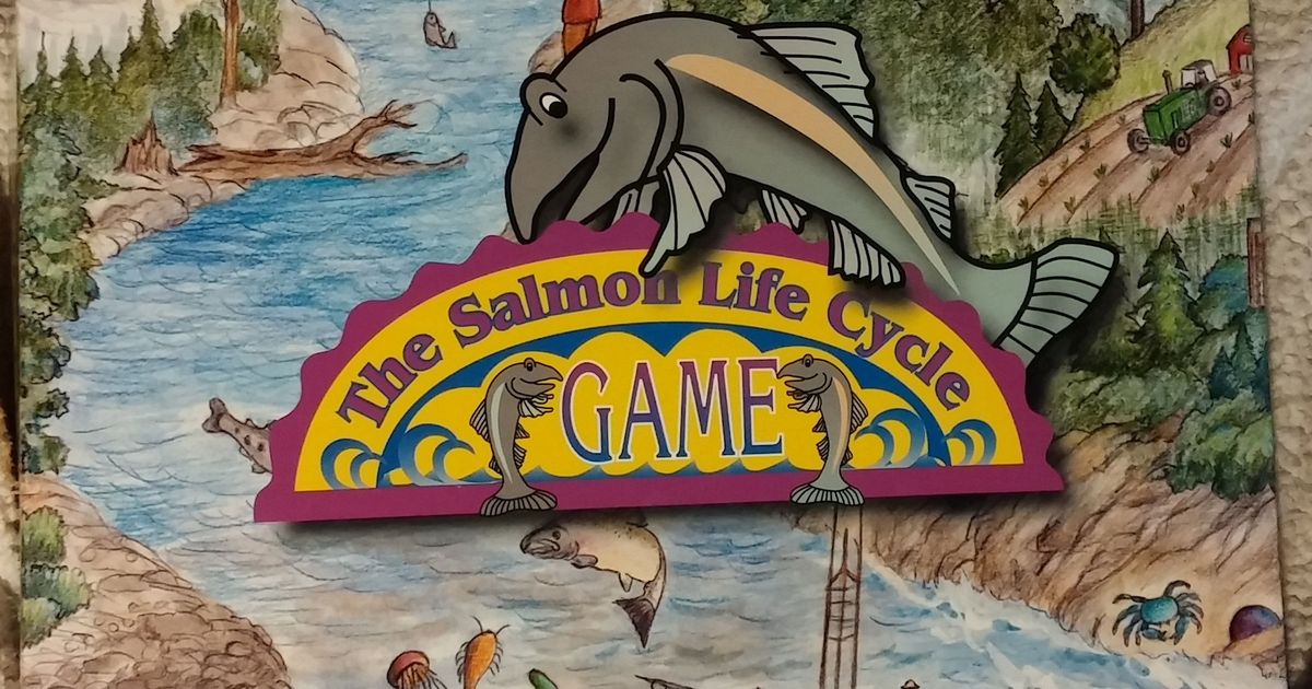 The Salmon Life Cycle Game | Board Game | BoardGameGeek