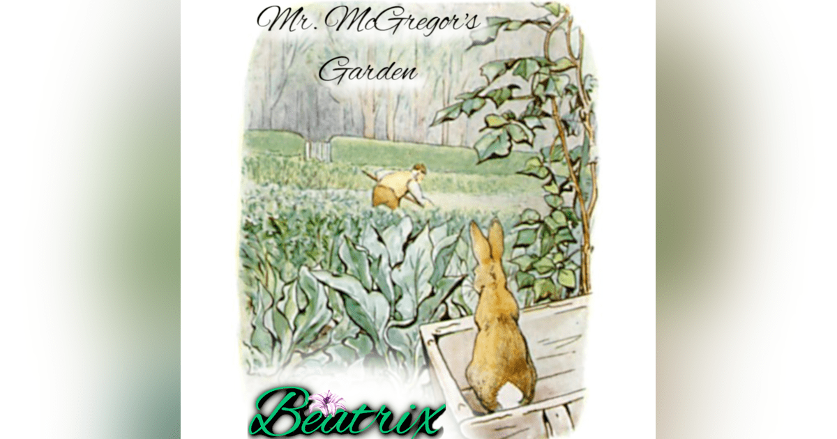 Beatrix: Mr. McGregor's Garden | Board Game | BoardGameGeek