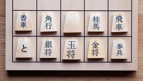 Shogi and Shogi variants