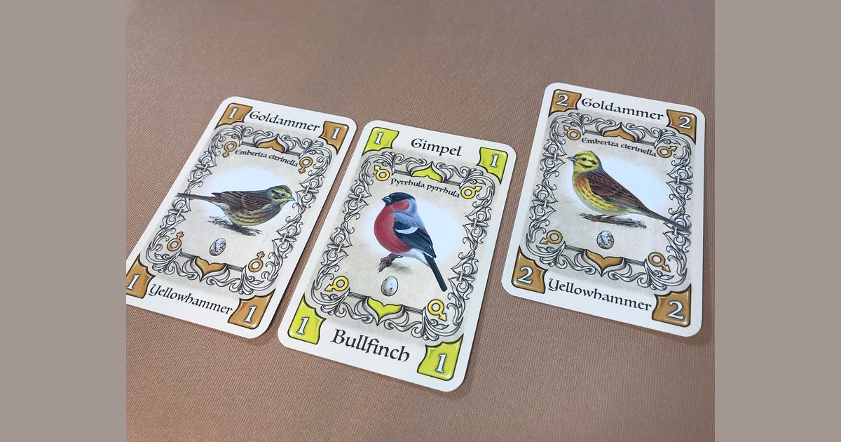The Joy of Simple Solo Arithmetic and Birds with Piepmatz | Gameward Bound