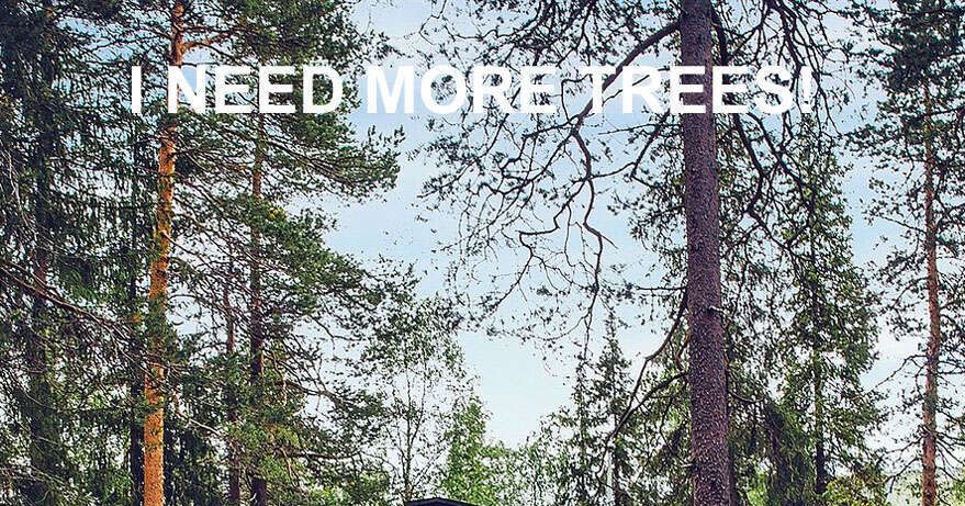 I Need More Trees! | Board Game | BoardGameGeek