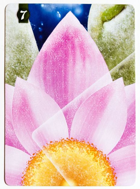 Lotus: 7 Frosted Lotus Petals | Board Game Accessory | BoardGameGeek