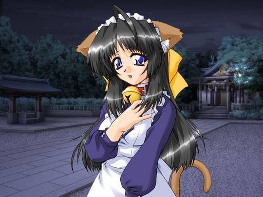 Lets Meow Meow Video Game Videogamegeek