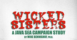 Java Sea: Wicked Sisters | Board Game | BoardGameGeek