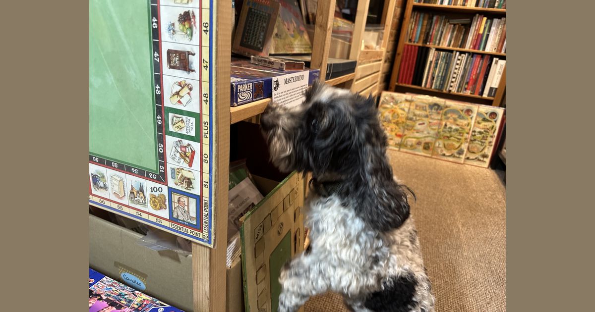 Paws | Everyone Needs A Shed | BoardGameGeek