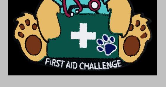 First Aid Challenge | Board Game | BoardGameGeek