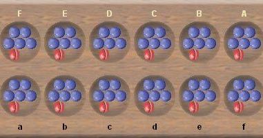 Kauri | Board Game | BoardGameGeek